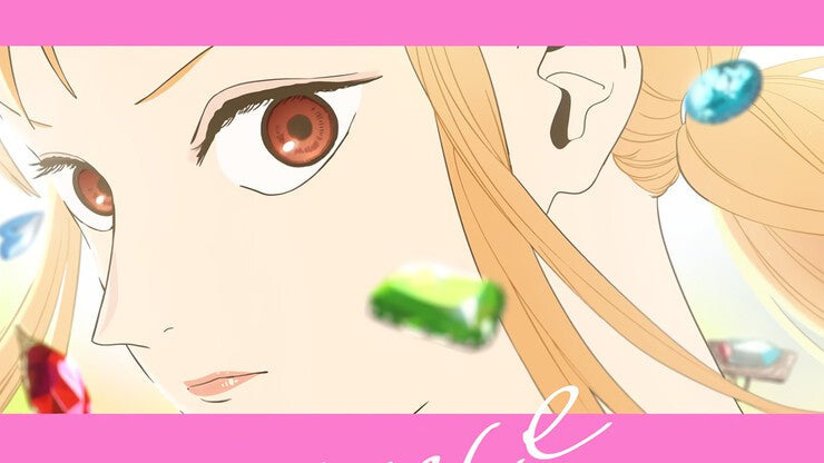 Anime Adaptation on the Horizon for 'One Piece: Heroines' Light Novel ...